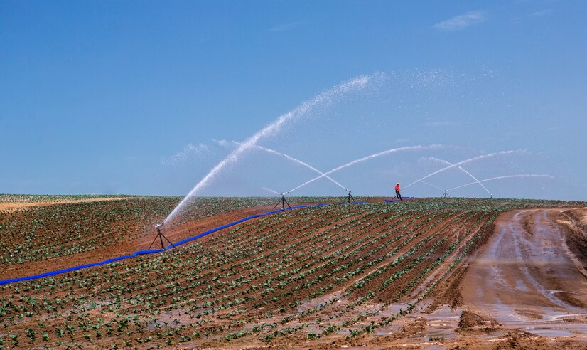 Water Distribution for Irrigation Plots – Ruahagroup