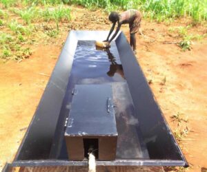 Cattle Trough Construction – Ruahagroup
